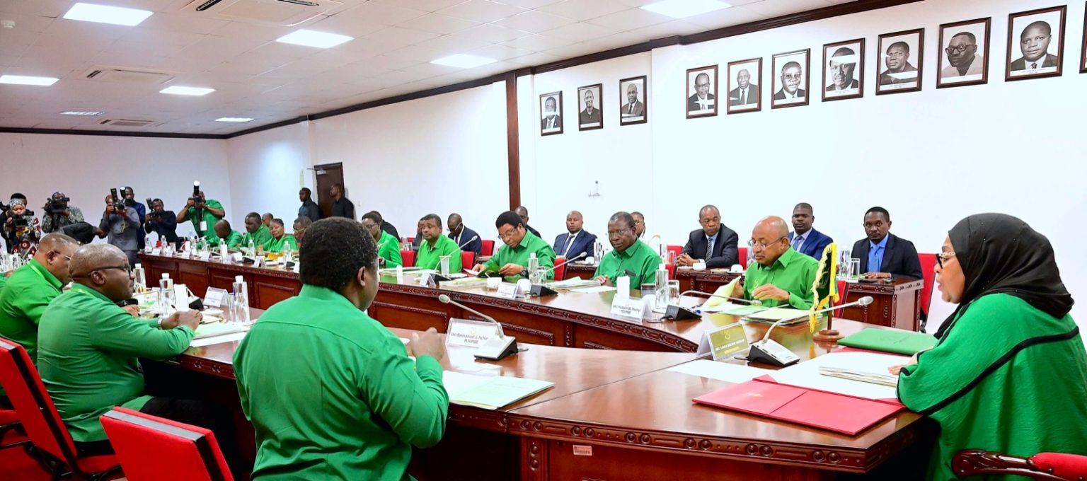 RAIS SAMIA AONGOZA KIKAO CHA KAMATI KUU YA HALMASHAURI KUU YA CCM ...