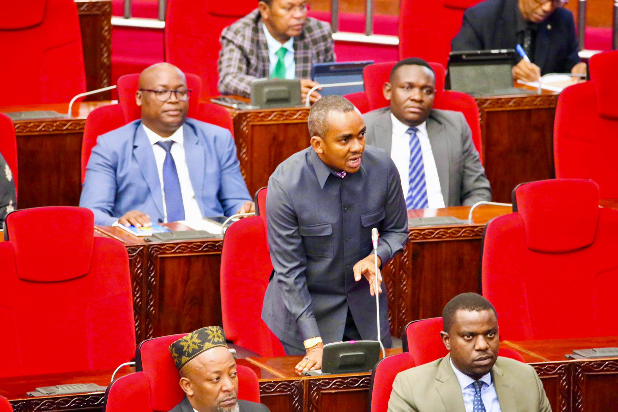 UTAPELI WA MTANDAONI UMEPUNGUA KWA ASILIMIA 19: WAZIRI SILAA - Mzalendo
