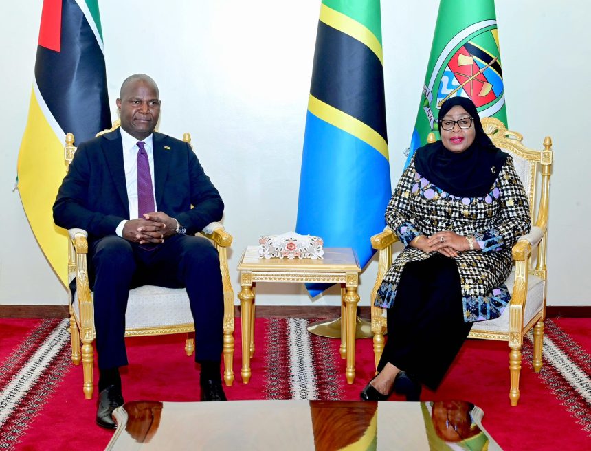 RAIS WA MSUMBIJI MHE.DANIEL CHAPO APOKELEWA NA RAIS SAMIA IKULU ...