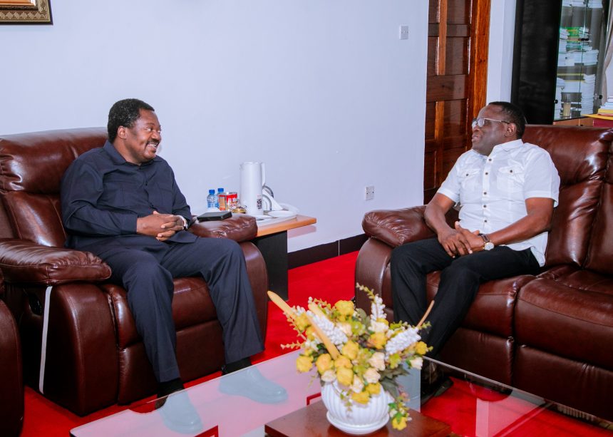 DKT. NCHIMBI AKUTANA NA MWANDISHI MKONGWE ABSALOM KIBANDA - Mzalendo